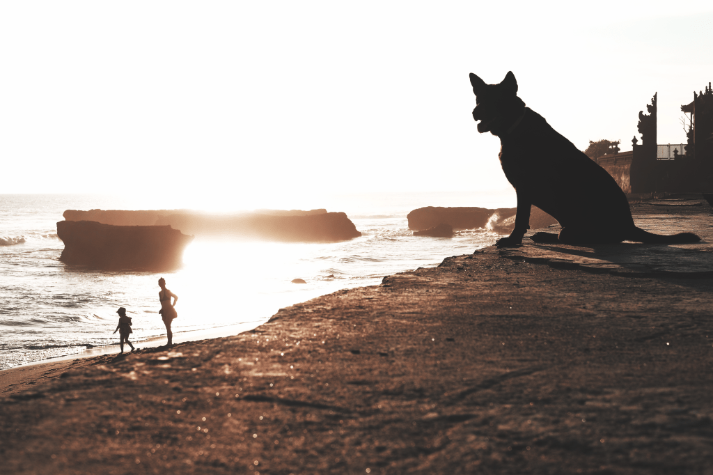 Addison Hamilton – Editor | Photographer | Videographer